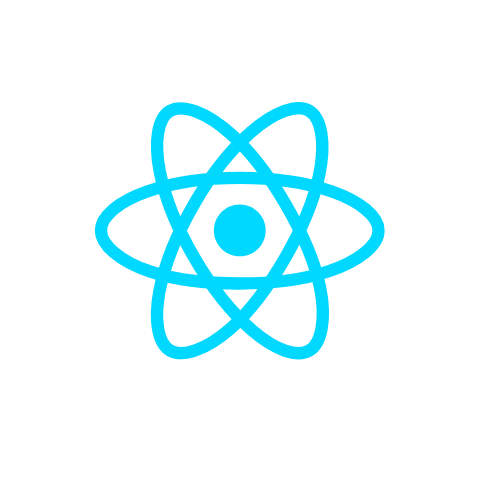 Deepnap Softech | Best Web & Software Company in Faridabad